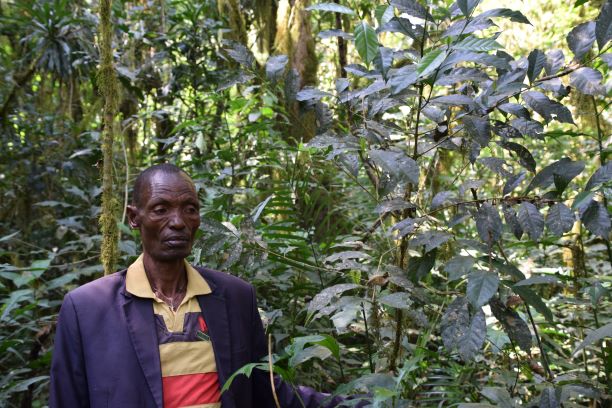 Baseline Study, Kafa Zone, Climate Resilient Forest Livelihoods ...